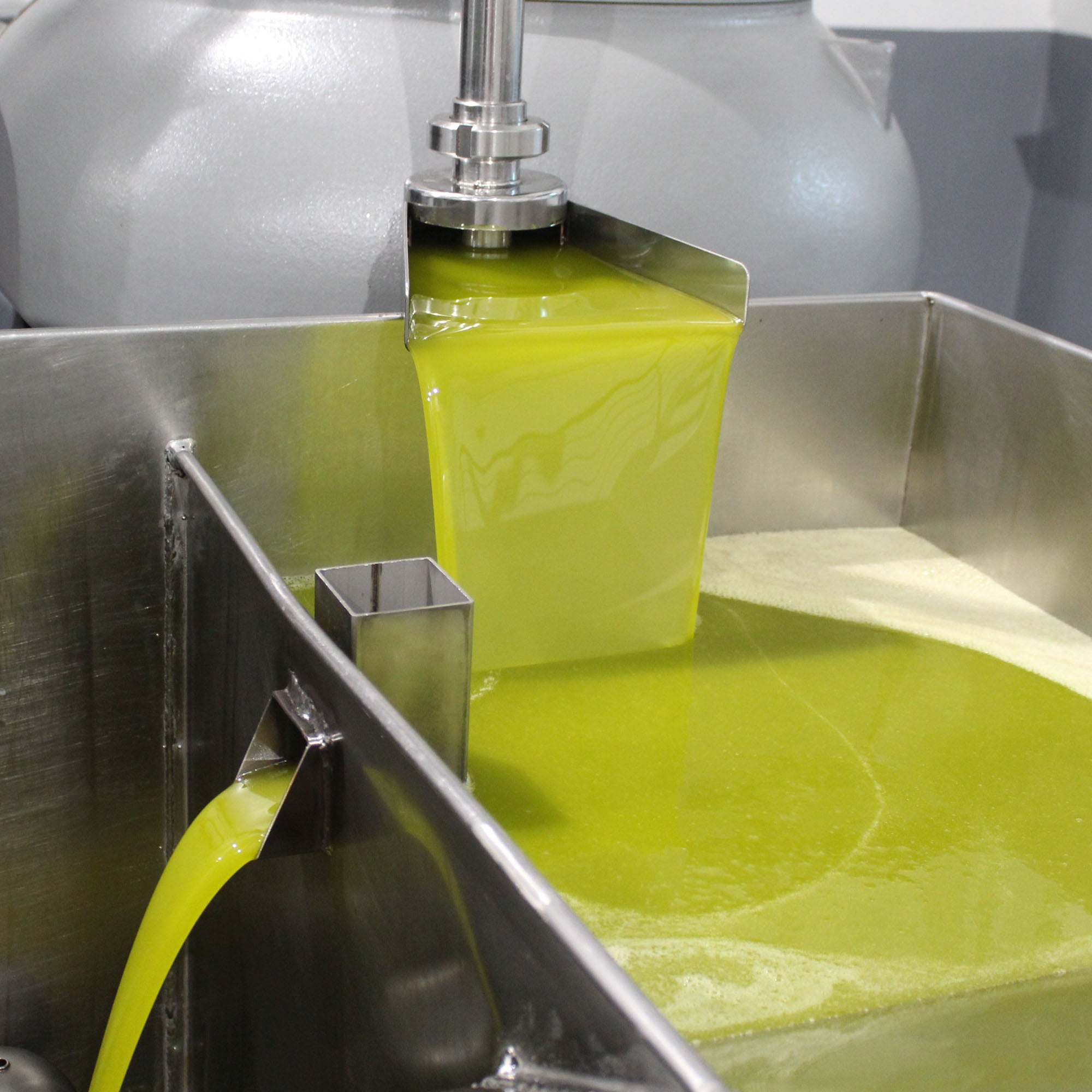 How is Olive Oil made? – García de la Cruz Olive You